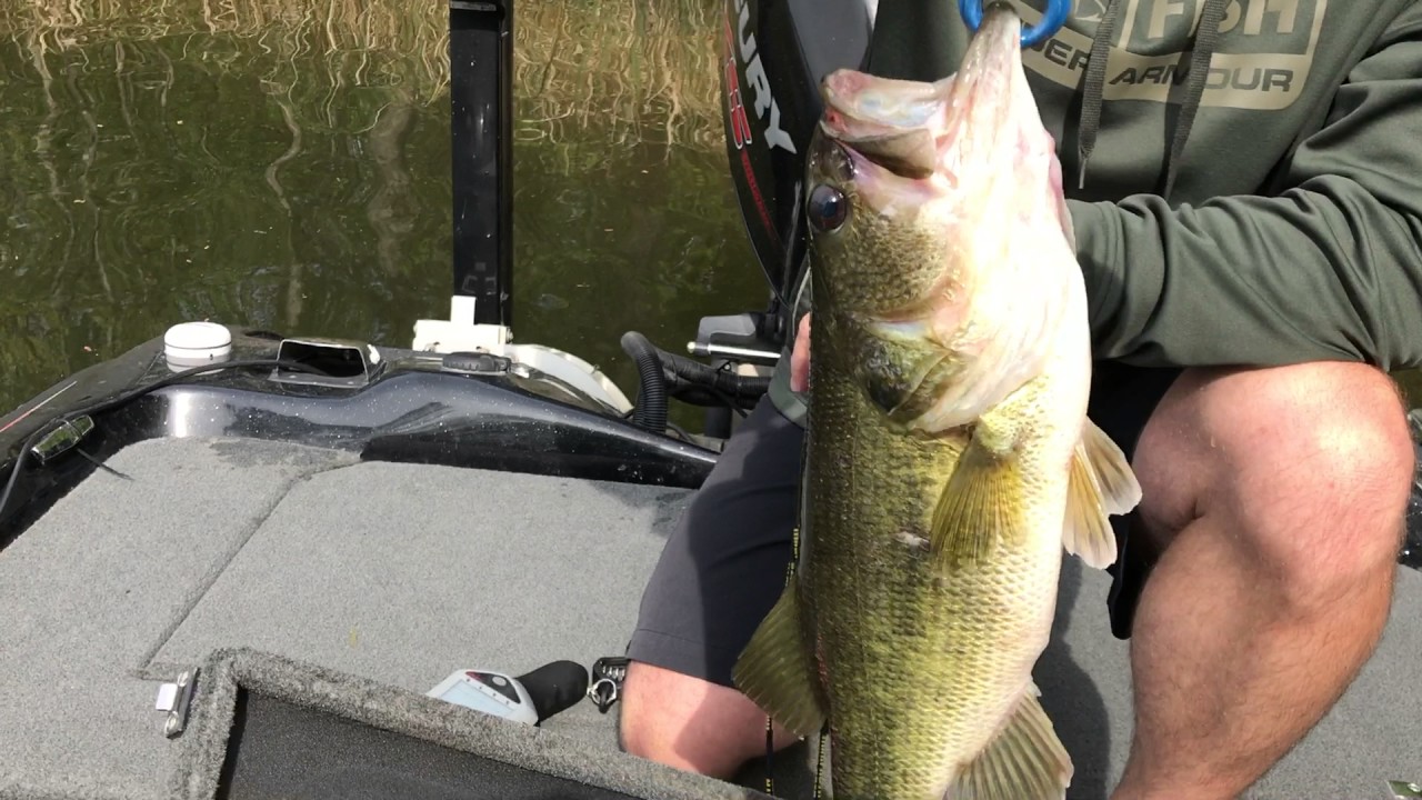 T-H MARINE CONSERVATION CULLING SYSTEM - YouTube