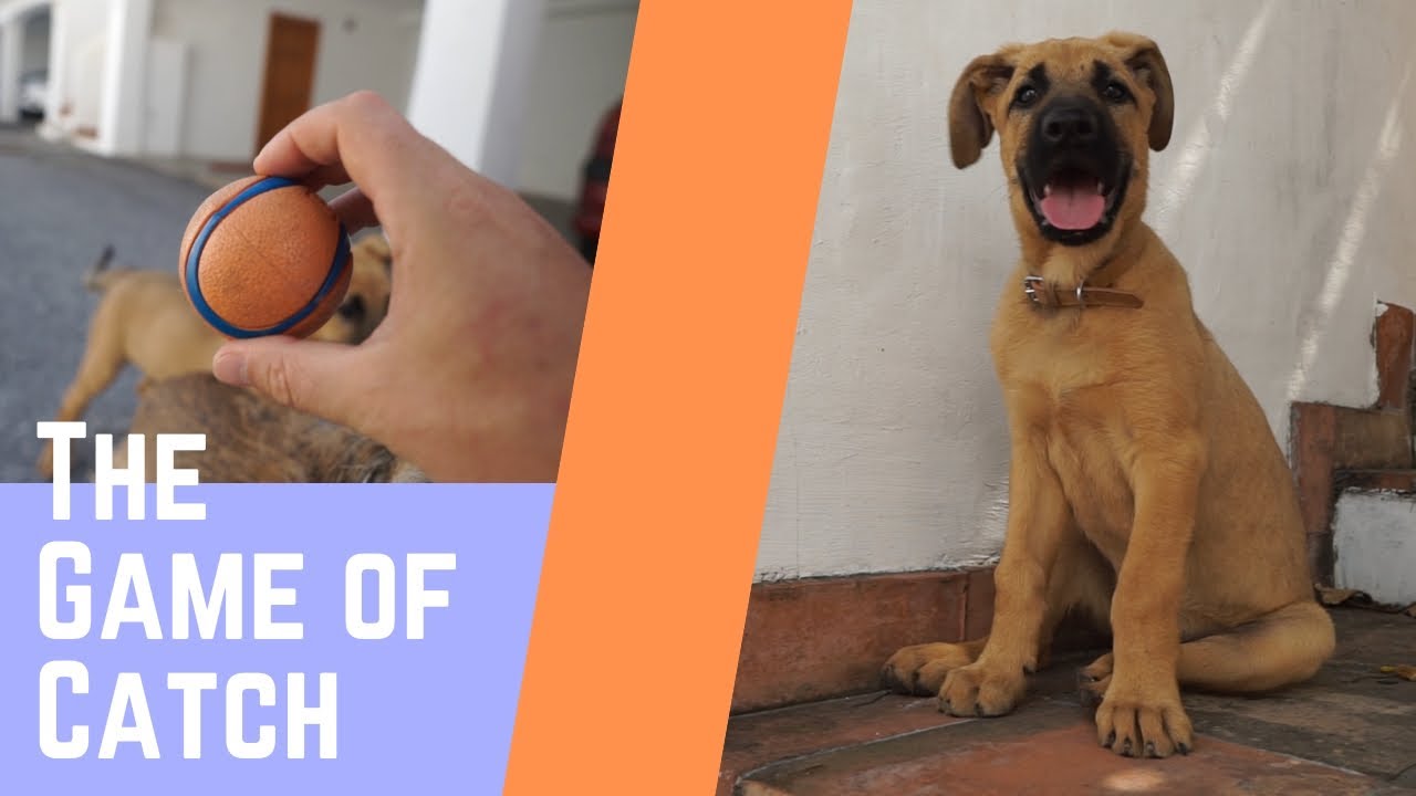 The game of catch - YouTube