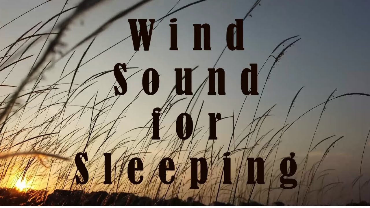 Wind sounds for sleeping - YouTube