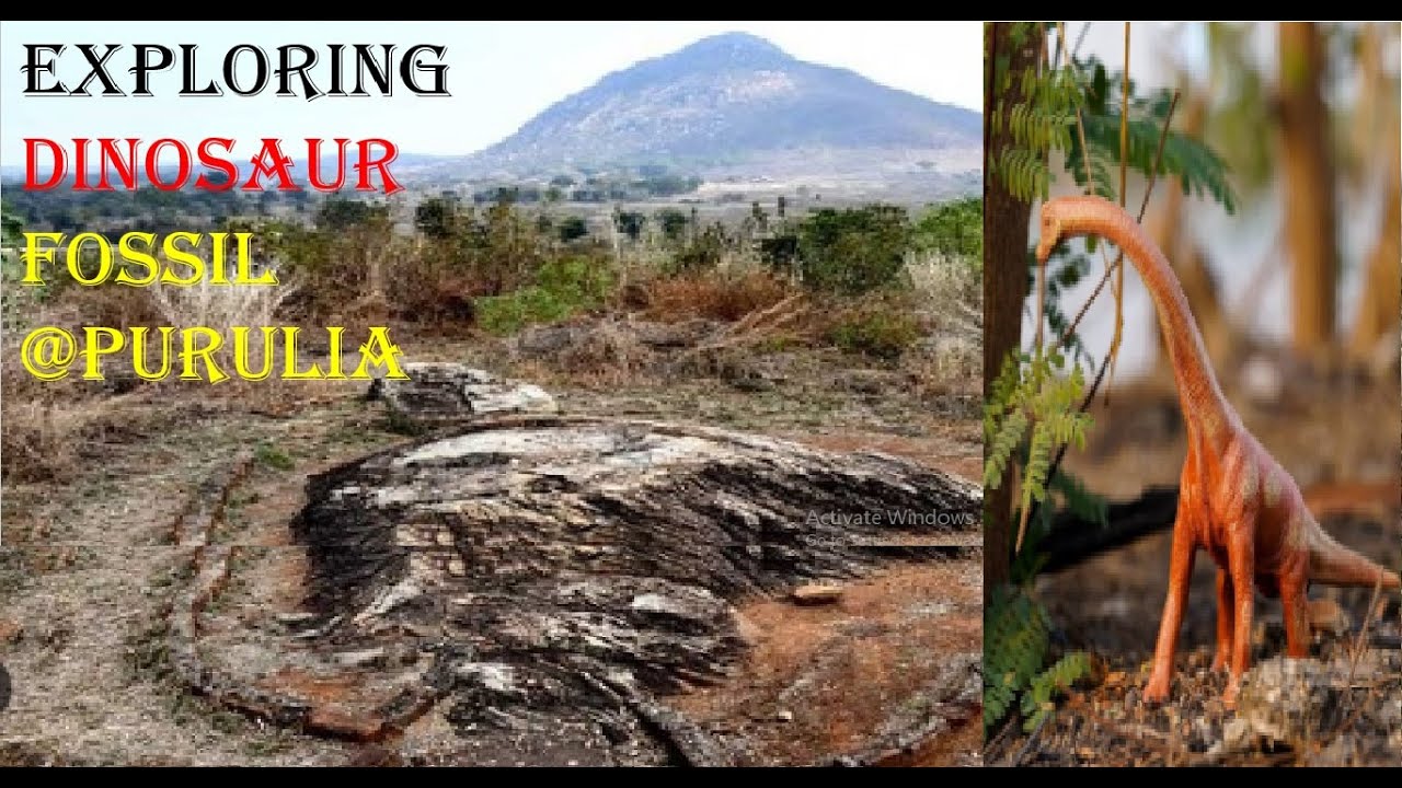 Incredible India's Hidden Jems | rare Dinosaur Fossil in Offbeat ...