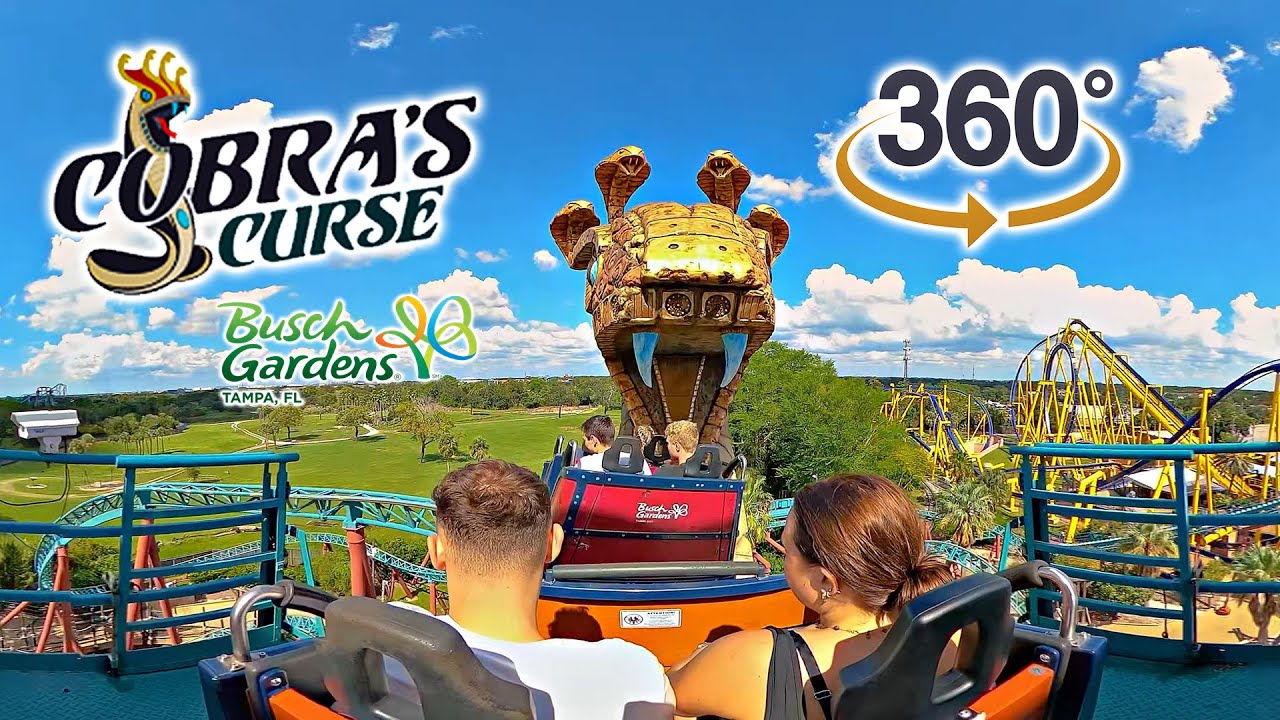VR 360 Cobra's Curse Roller Coaster On Ride POV with Queue Busch ...