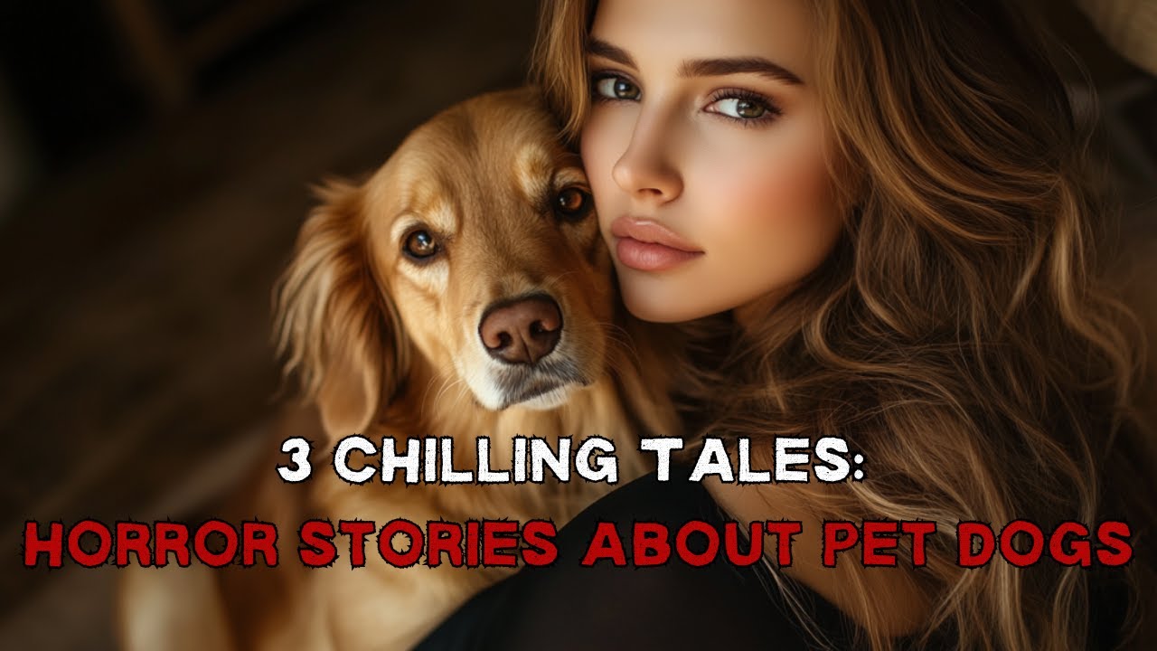 3 Chilling Tales Horror stories about pet dogs - YouTube