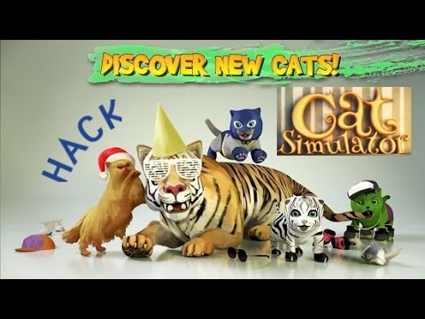 Cat Simulator 2015: Android Gameplay HD - YouTube