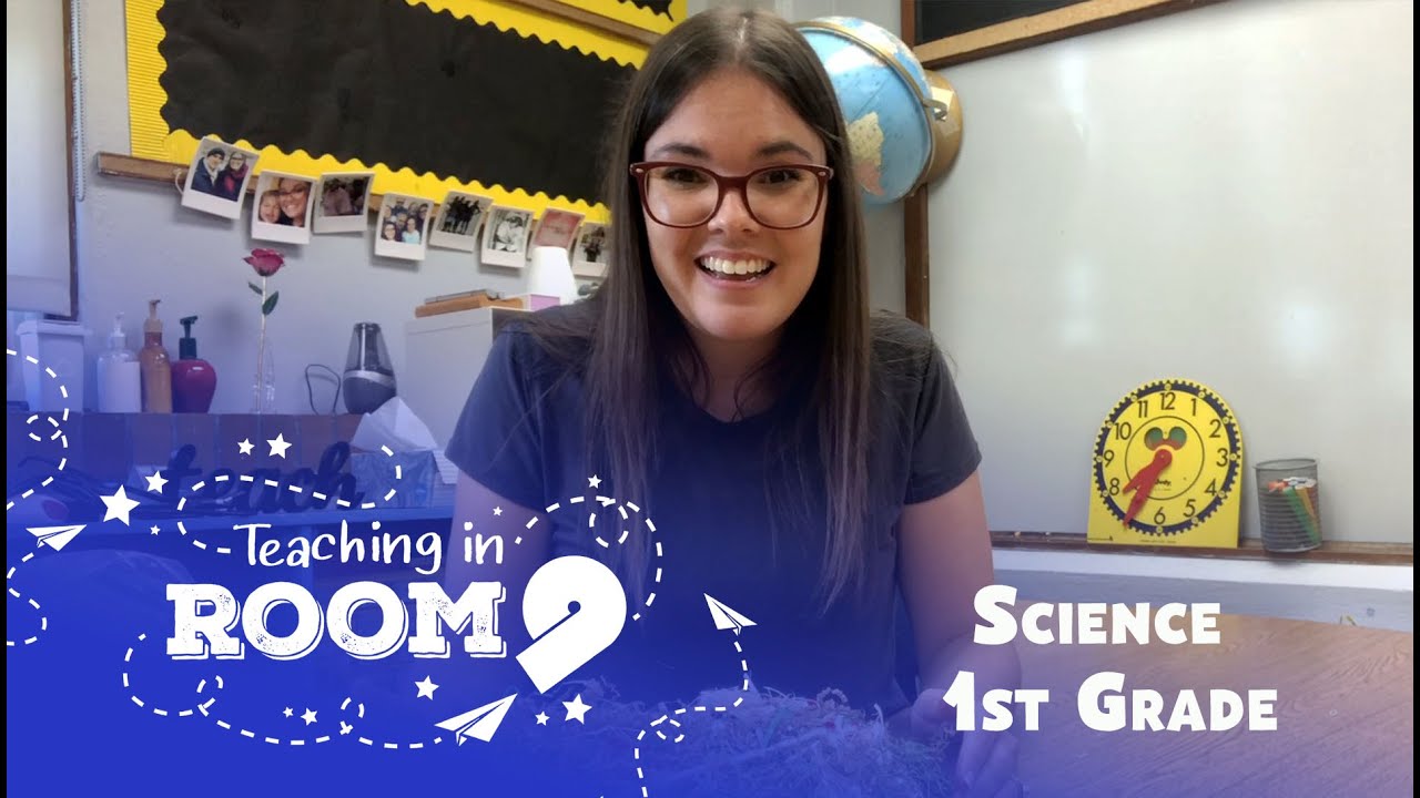 Sun and Moon: Our Shadows Throughout the Day | 1st Grade Science ...