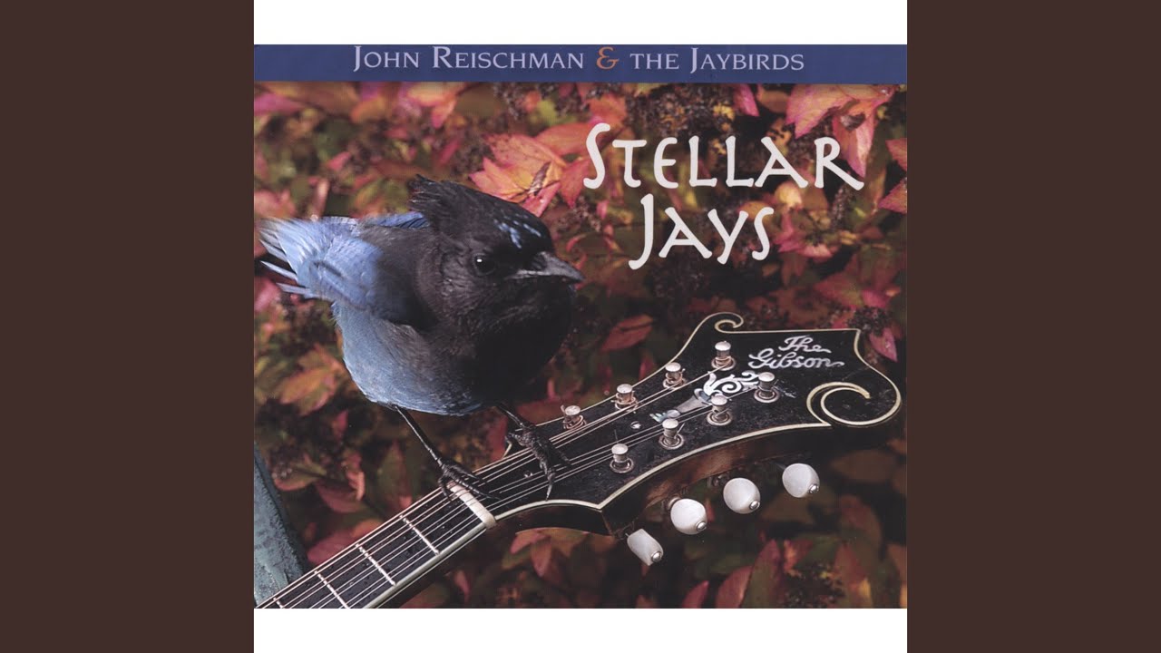 The Jaybird Song - YouTube