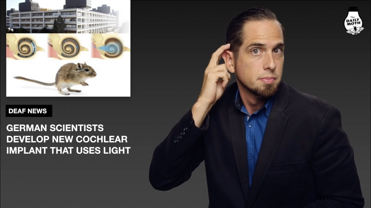 The Daily Moth 7-18-18 - YouTube