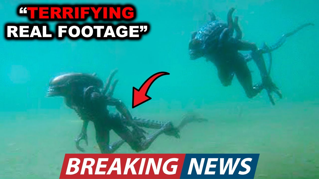 Treasure Hunting Divers Accidentally FILMED Footage of Unknown ...