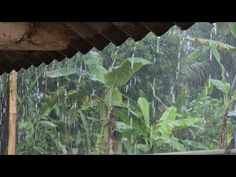 Rain Sounds for Deep Sleep | When Life Feels Too Heavy, Let the Rain Hold You