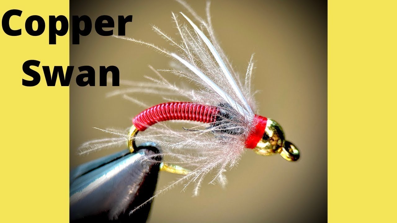 Fly Tying Tutorial | Copper Swan - YouTube