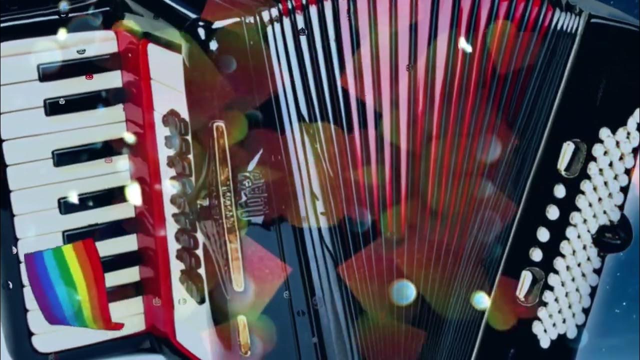 Dynamic Accordion Performance: Fast-Paced Music Delight! - YouTube