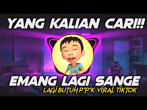 DJ EMANG LAGI SANGE LAGI BUTUH PEP VIRAL TIKTOK 2022