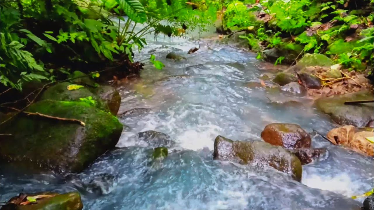 Crystal Stream Water Running Smoothly Through Forest for Relaxation and ...