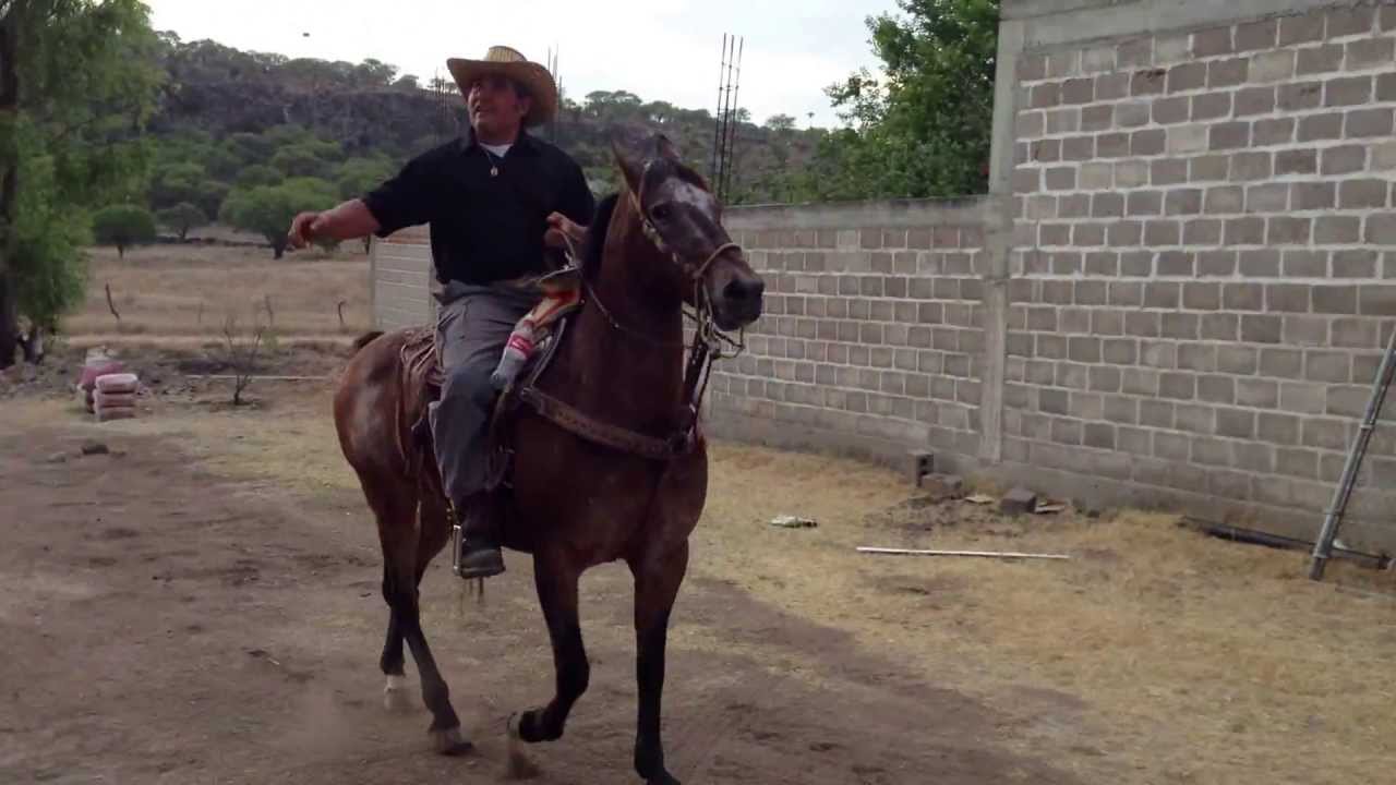 Juan Bosco Huizar on Horseback in Momax Zacatecas Mexico - YouTube