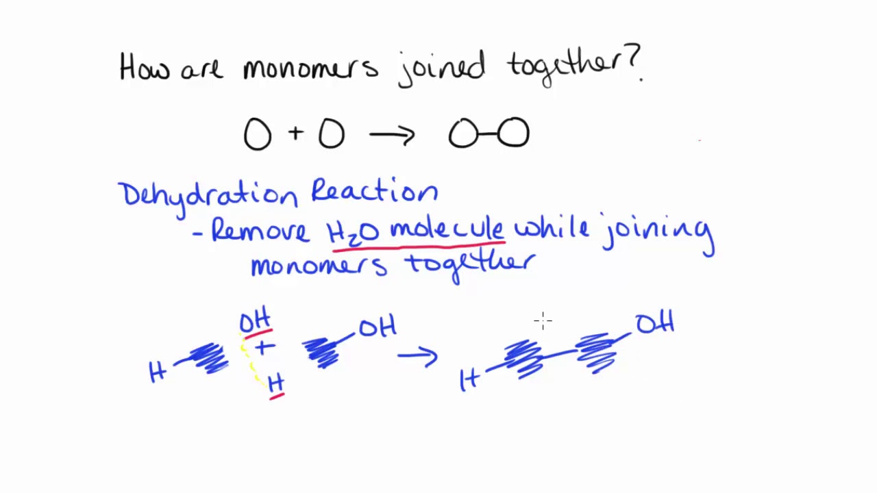 Dehydration Reactions - YouTube