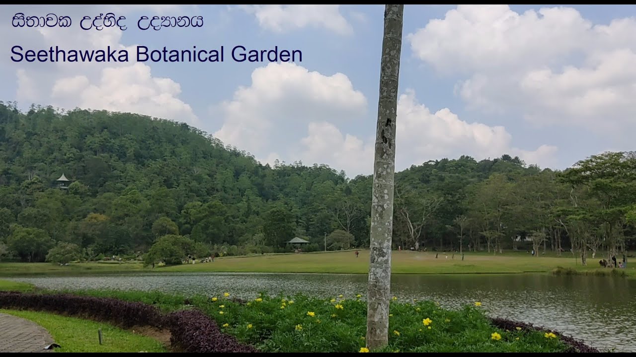 Seethawaka Wet Zone Botanical Garden - YouTube