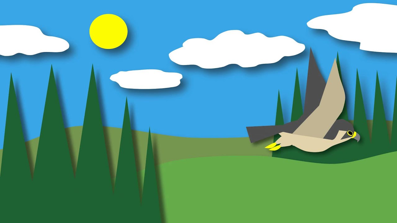 short falcon animation - YouTube
