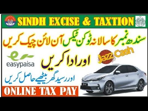 How to pay sindh vehicle token tax online / sindh excise and taxation ...