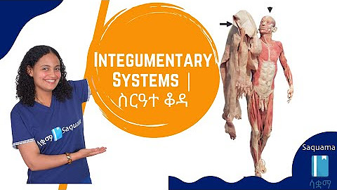 Grade 8 General Science Unit 4: Human Body Systems and Health - YouTube