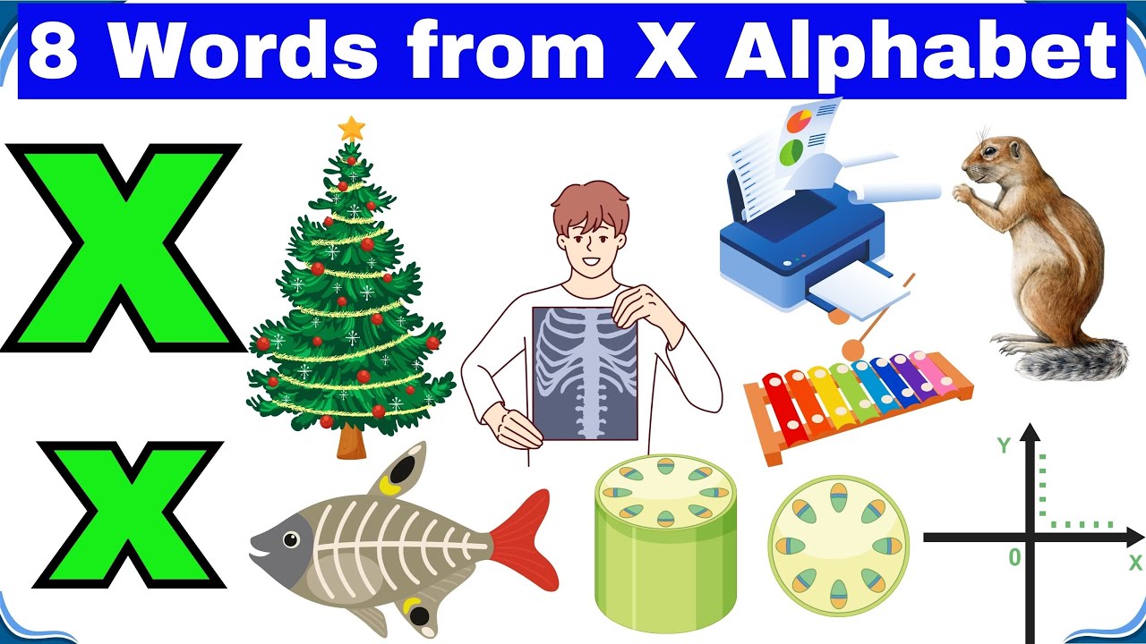 8 Words from X Letter || Words from X alphabets || X for X-mas tree ...