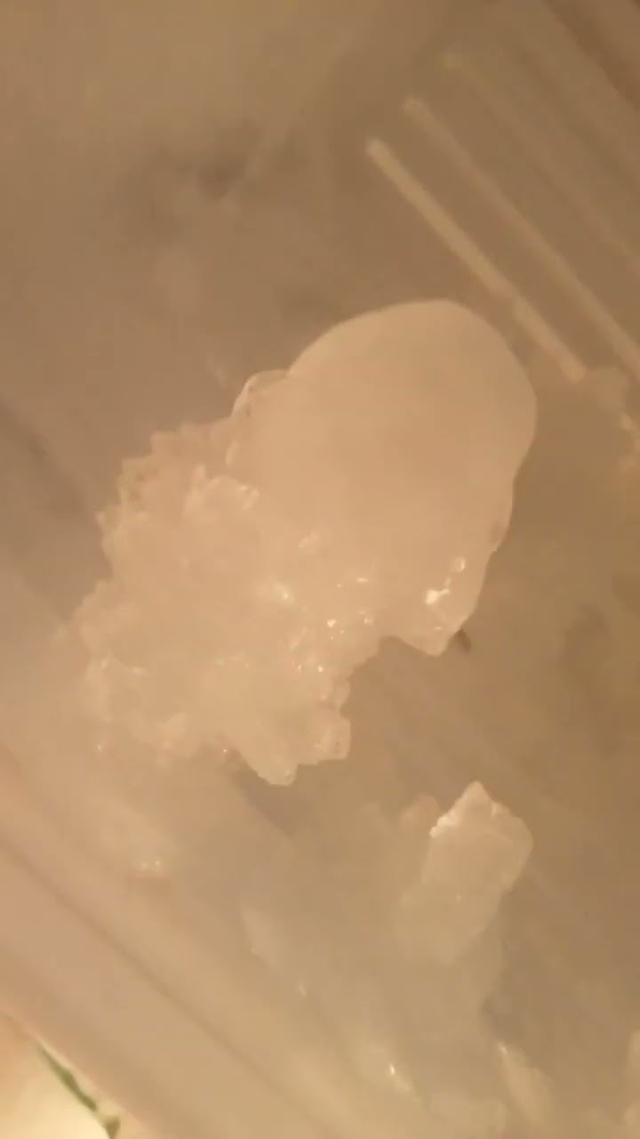 August 2, 2024 - YouTube