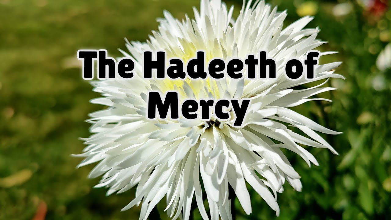 The Hadith of Mercy - YouTube