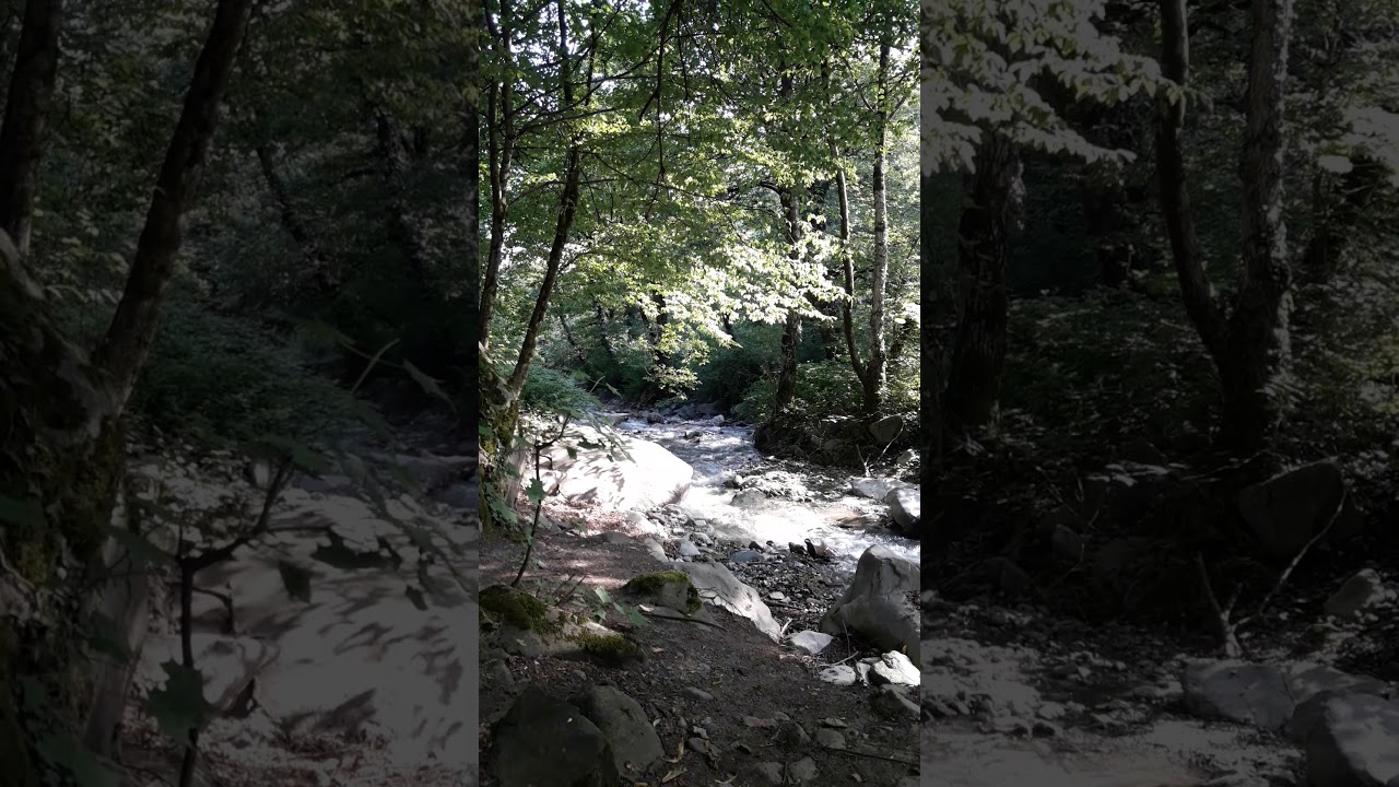 Oguz,forest -Oğuz,meşə - YouTube