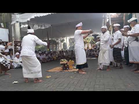 Nguleng Ring Pujawali Banjar Pelasa Kuta