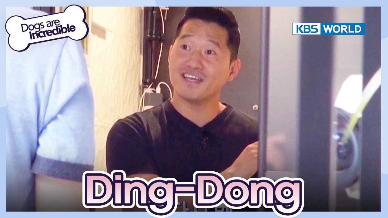 Ding-Dong 😬 [Dogs are incredible : EP.195-2] | KBS WORLD TV 231128 ...