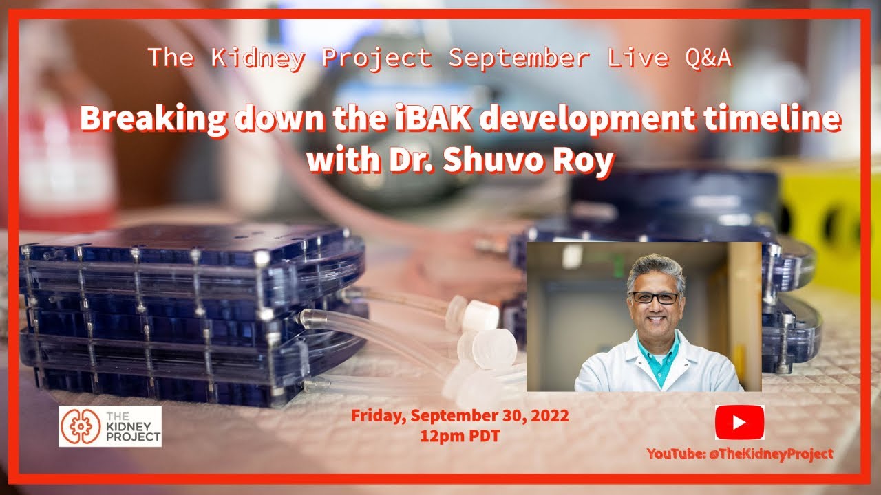 Live Q&A #9: Breaking down the iBAK development timeline (9.30.22 ...