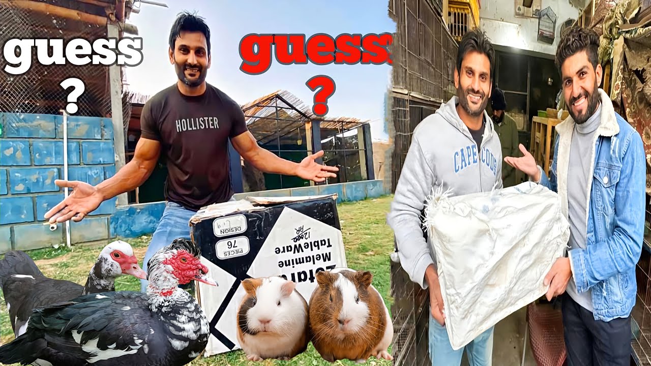 Surprise Samad Pet Vlog Wala Gift Reveal Kar Diya😍 ️ Kya Hoga??? - YouTube