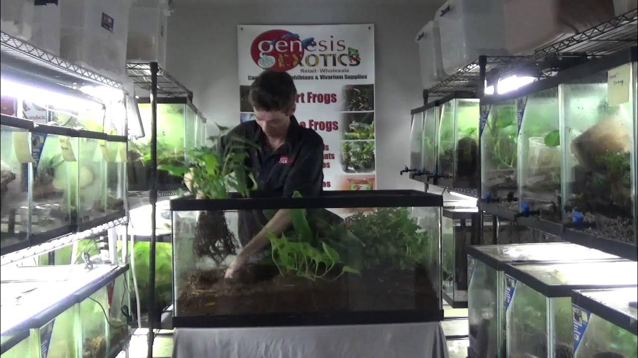 Self-cleaning python enclosure! BioActive tanks for snakes, tegu ...