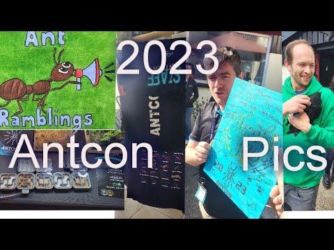 Antcon 2023 pics - YouTube