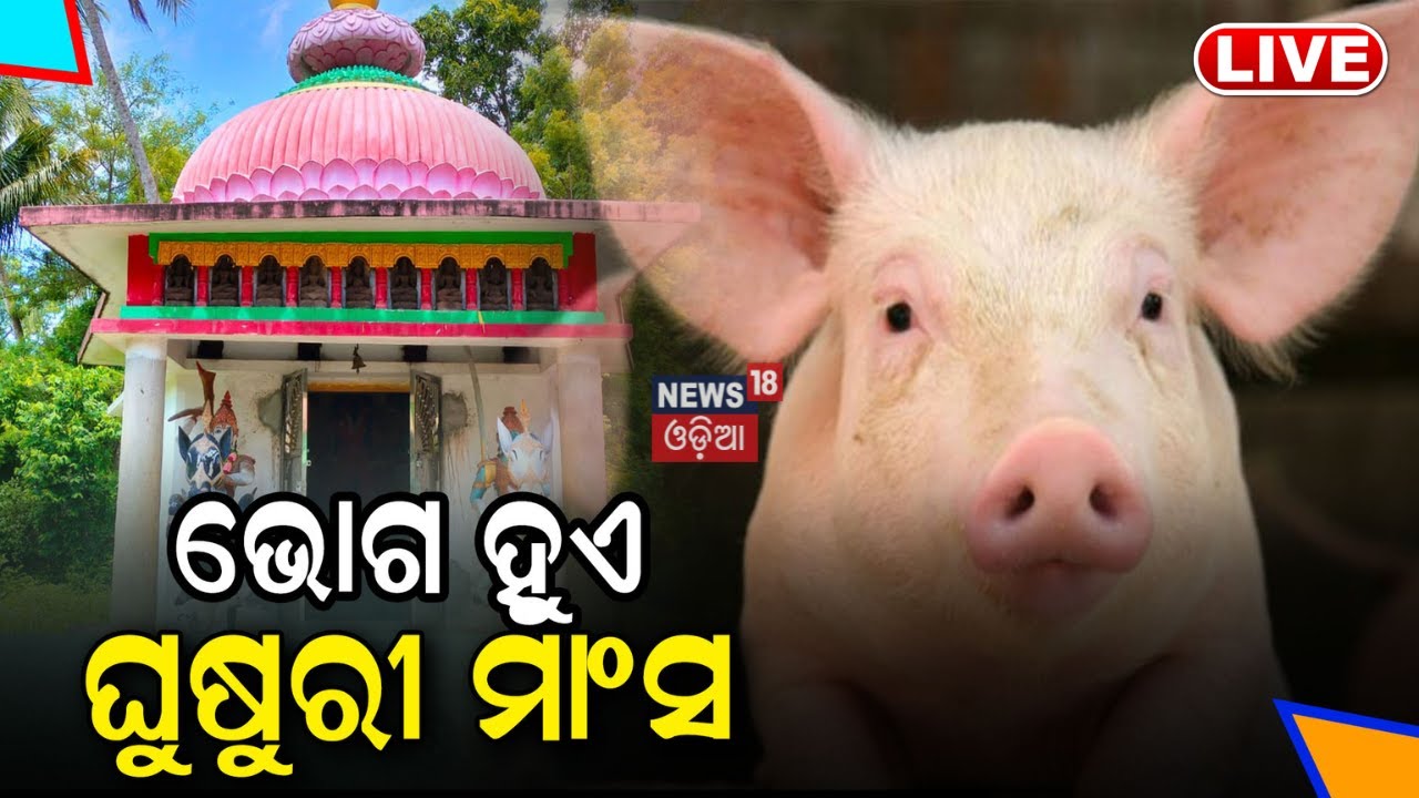 Live: Puri News | ଏହି ମନ୍ଦିରରେ ଭୋଗ ଲାଗେ ଘୁଷୁରୀ ମାଂସ | Local 18 | News 18 Odia | Odia News - YouTube
