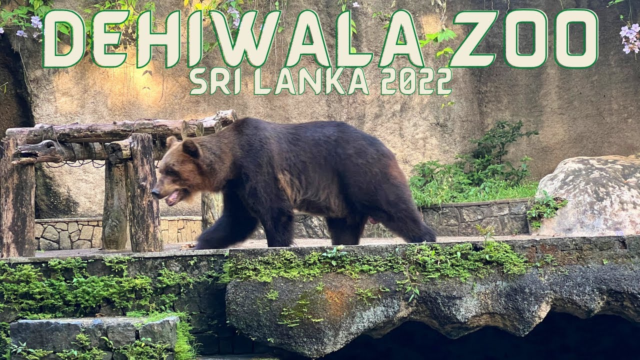 Dehiwala Zoo Sri Lanka 2022 🇱🇰 - YouTube