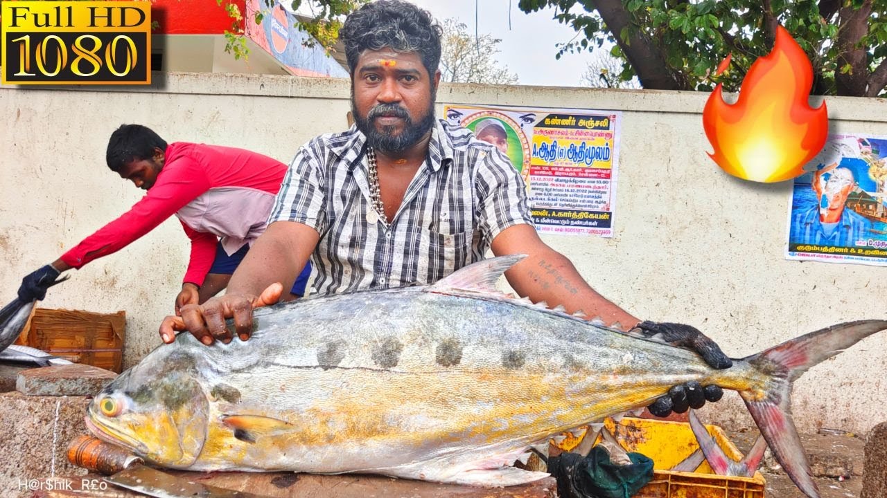 KASIMEDU 🔥FISH CUTTING | QUEEN TREVALLY FISH CUTTING🐟 | FISH CUTTING ...