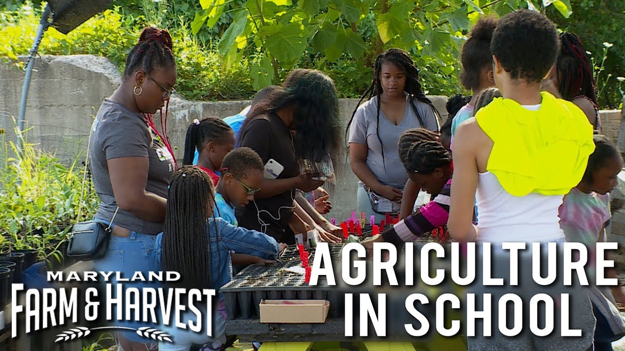 The Importance of Agriculture in School | Maryland Farm & Harvest - YouTube