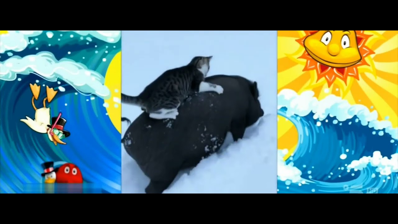 paperissima sprint animali di papero e gabibbo 6 - YouTube