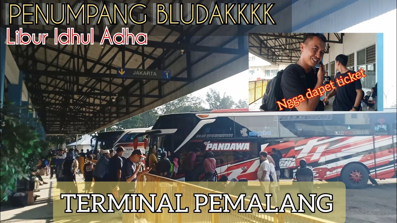 PENUMPANG BLUDAK √ !! NGGA DAPAT TIKET BUS DI TERMINAL PEMALANG || #bus ...
