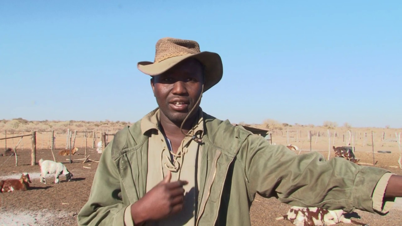 THE DUSTY CATTLE COUNTRY - YouTube