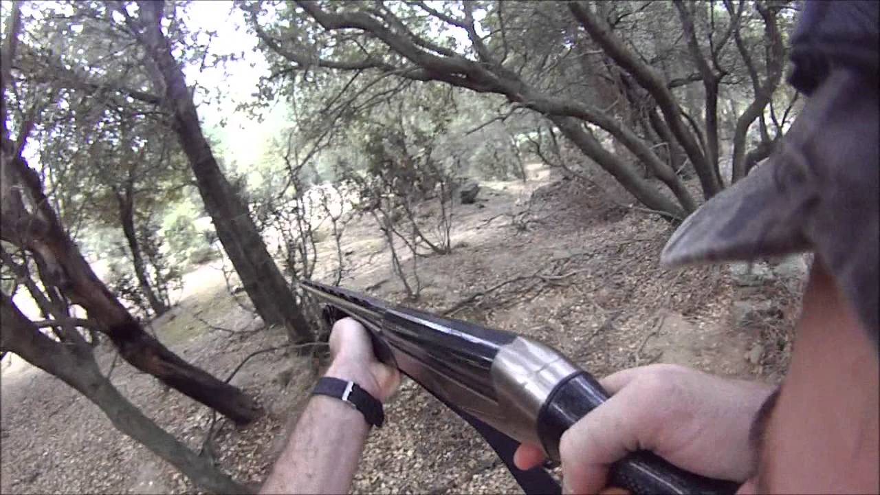 Chasse du lapin en Corse au furet (2014) - YouTube