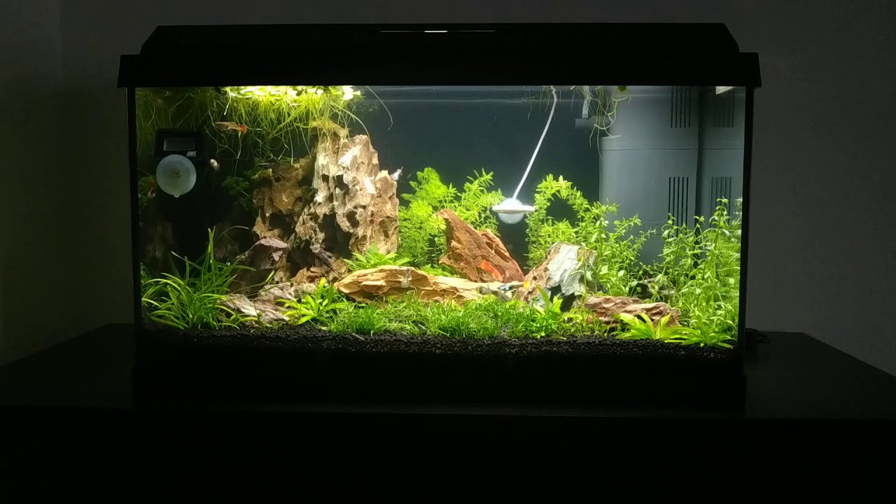Juwel Primo 60 - YouTube