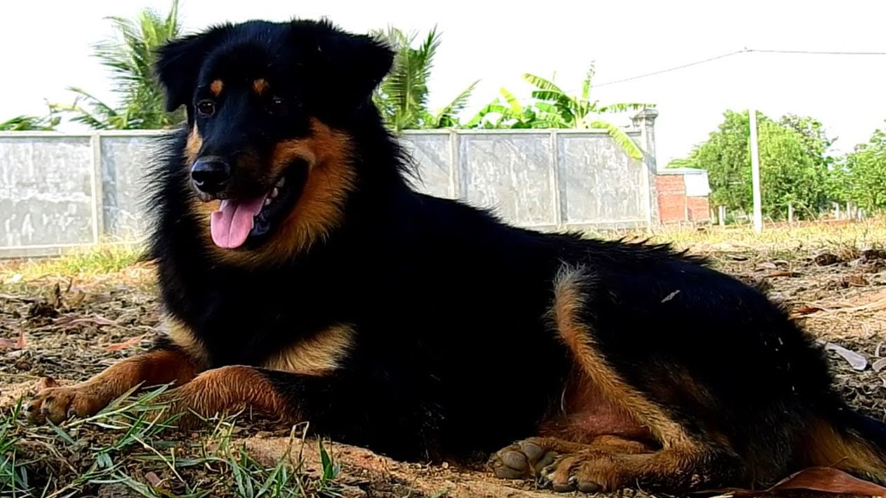 What are you looking for cute boy ker ker - YouTube