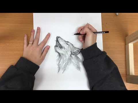 Wolf sketch along Miss Anna