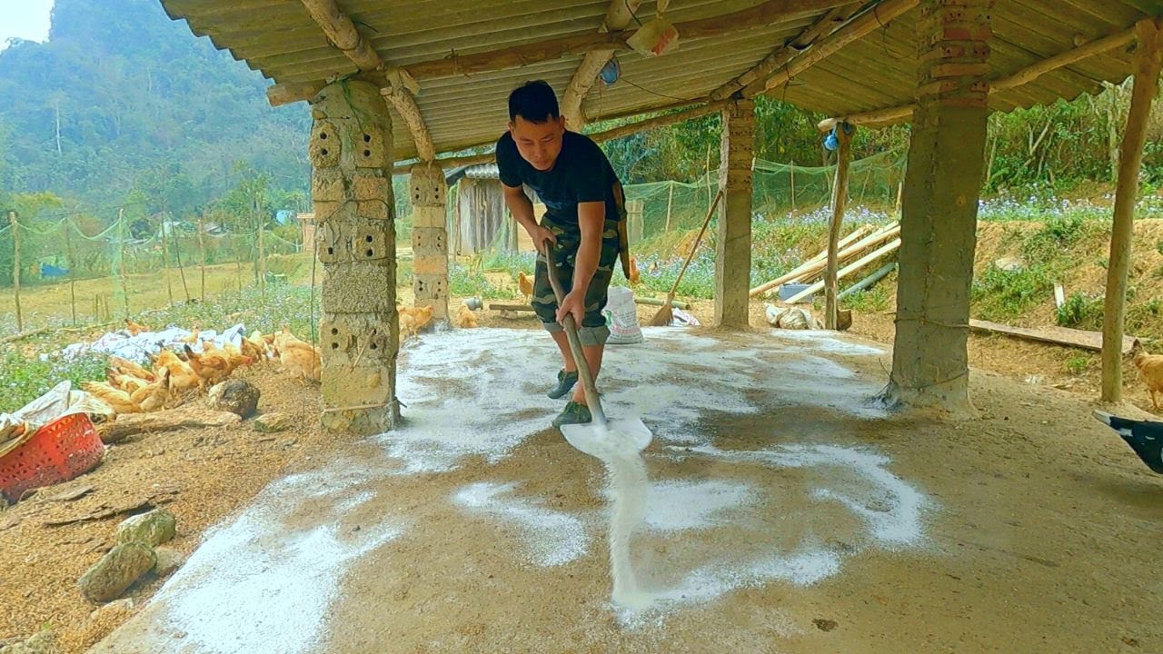 I QUICKLY DISINFECT animal lodging - CLEAN UP farm - YouTube