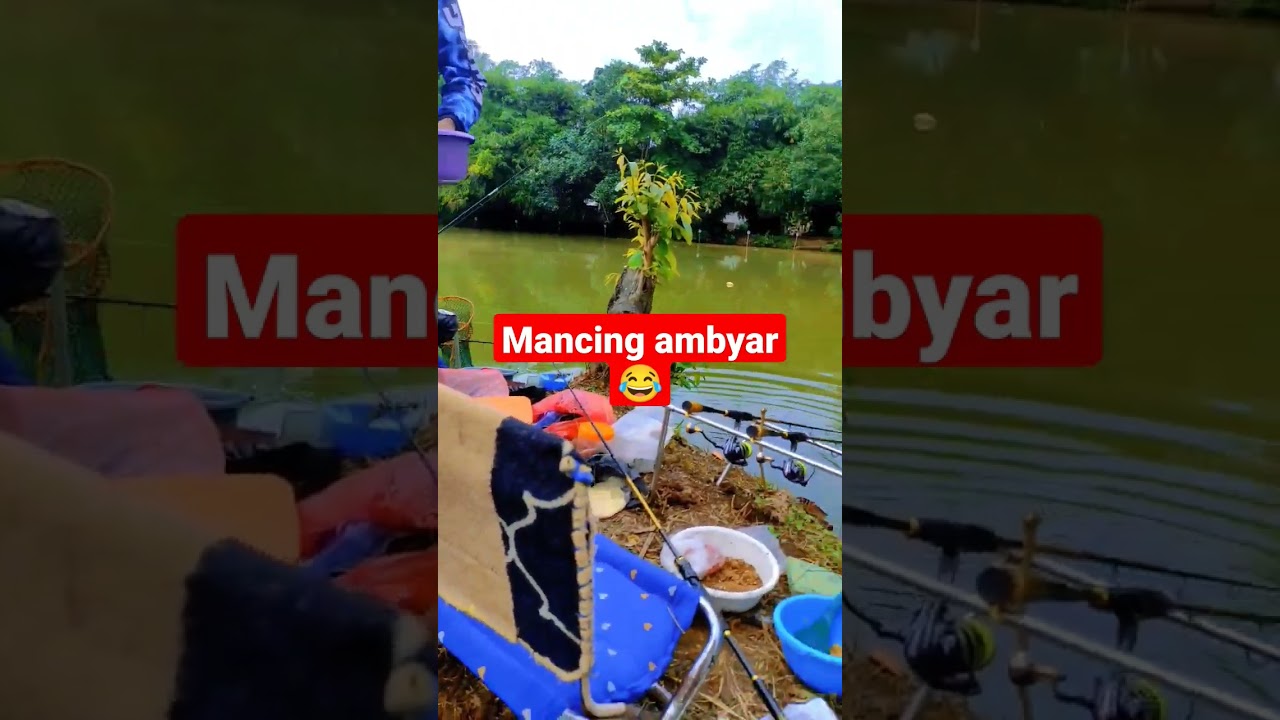 Mancing ambyar ‼️mancing mania #shorts #mancingmania #mancingambyar ...