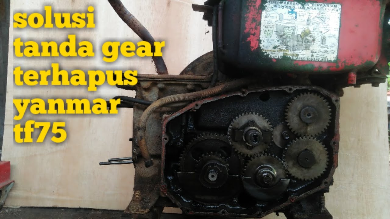 TOP GEAR YANMAR TF75 || TIMING GEAR || YANMAR TF75 || GEAR MARK ...