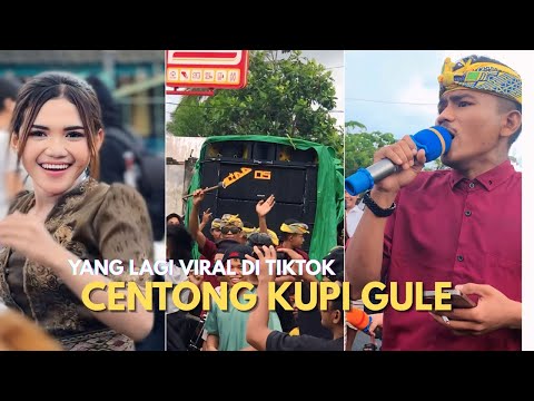 TERBARU BONEKA CANTIK CAMPUR GAUR VERSION ALBA live sikur