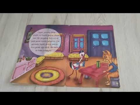 Leylek ile Tilki (kitap)