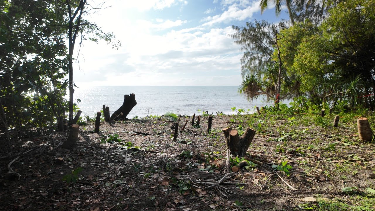 Sand erosion mitigation commences in Clifton Beach, Cairns - YouTube
