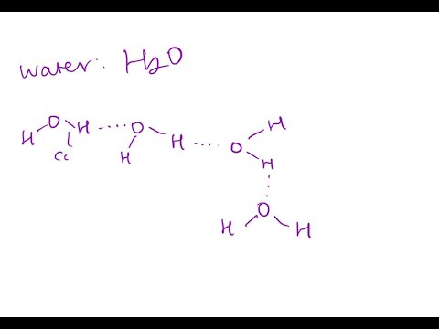 Sketch several water molecules, showing all covalent and hydrogen bonds ...